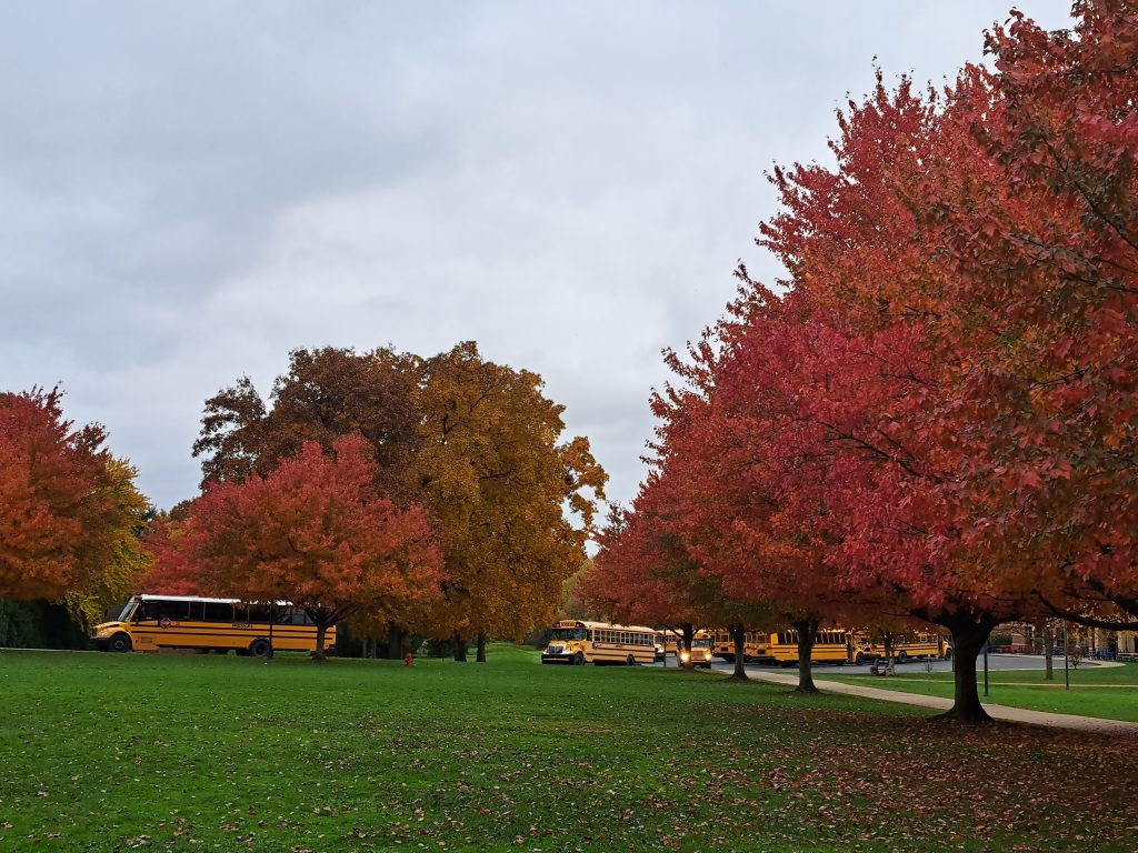 Fall Foliage around campus – Selinsgrove Area School District