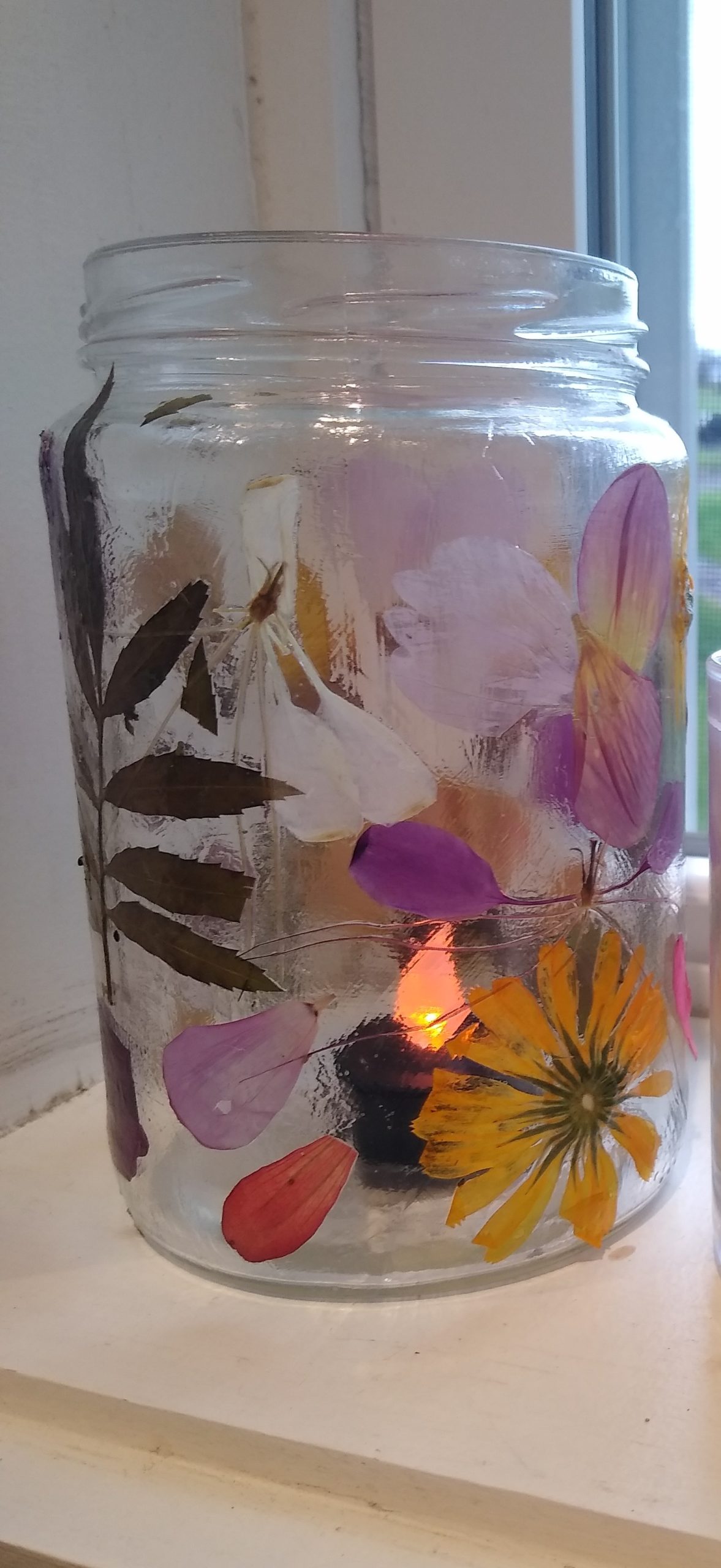 Floriculture – Selinsgrove Area School District